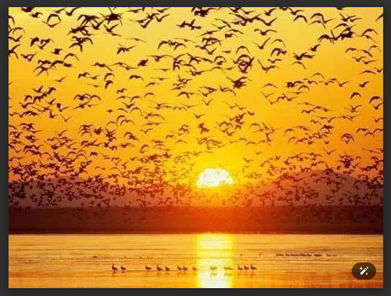 Benjamin Okechukwu C. Anyanyo’s poem: Autumn is in the Air – DoubleSpeak